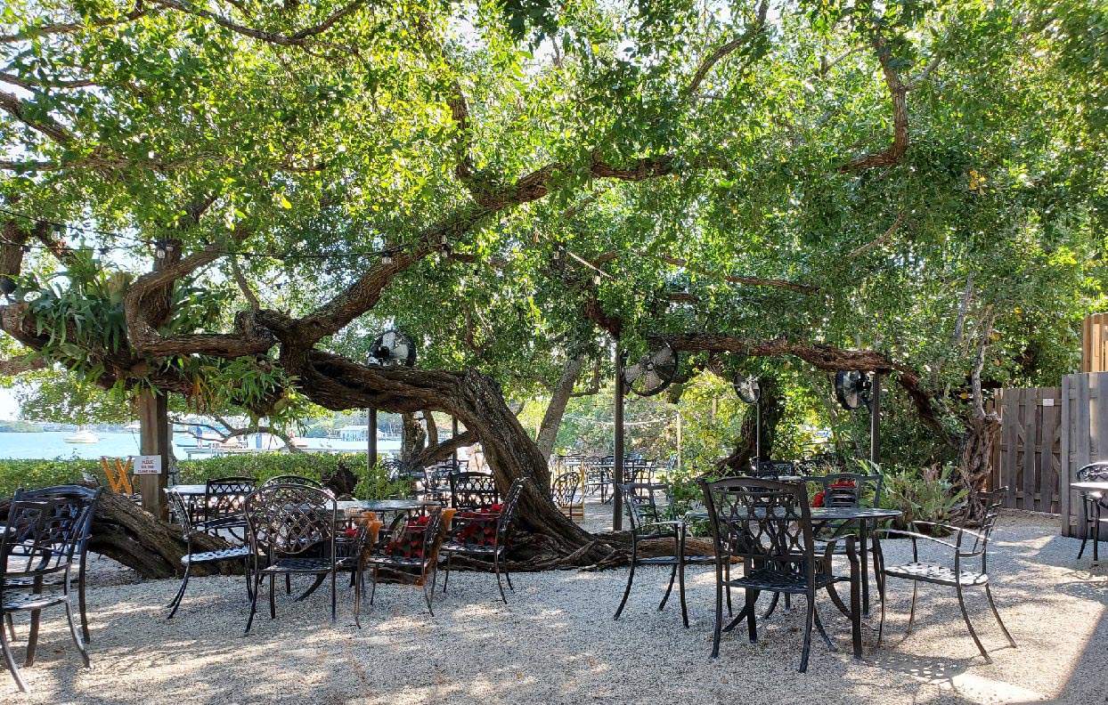 A Perfect Paradise Lunch/Dinner Spot... - Inspired Cuisine